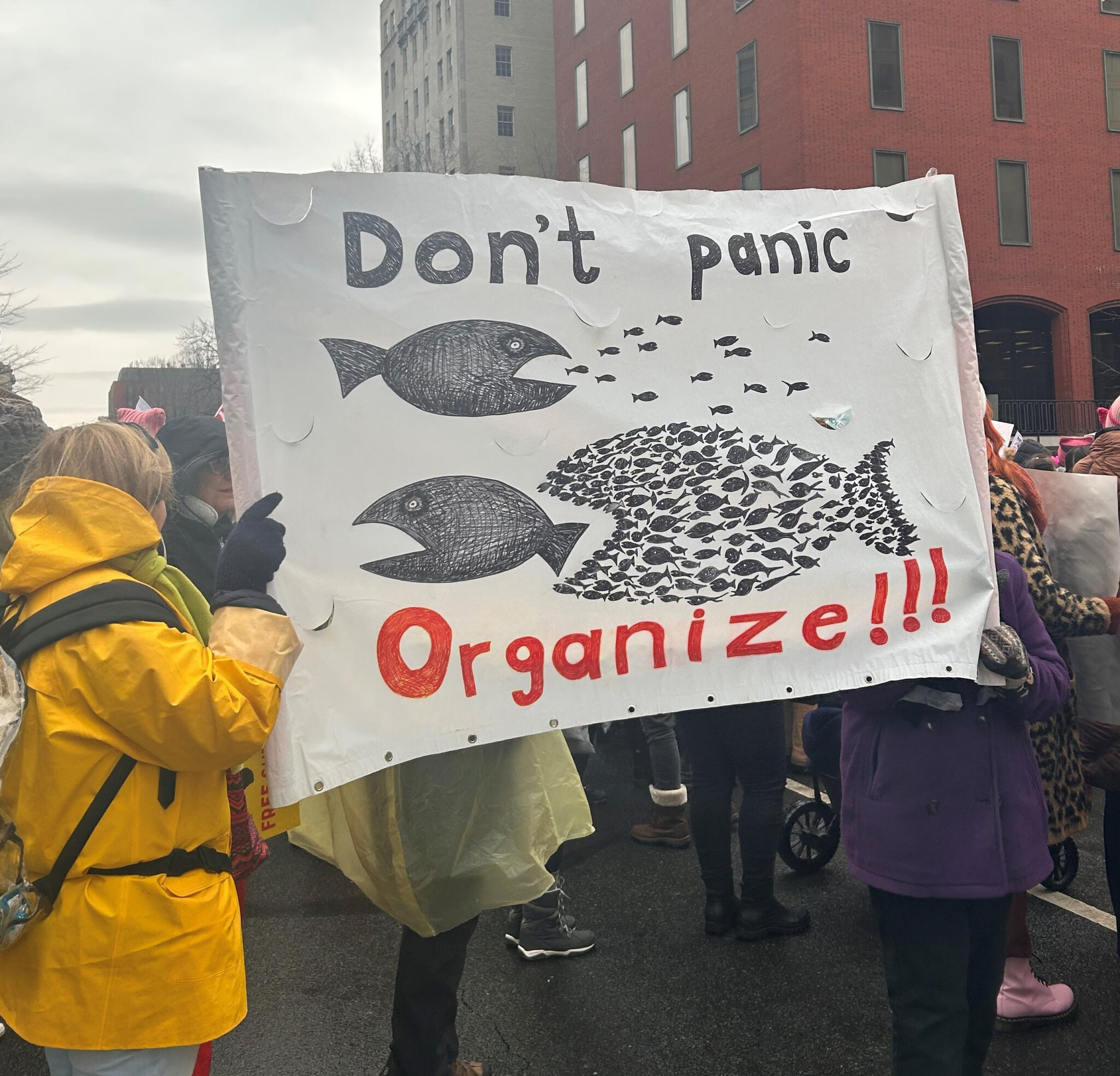 Don’t Panic Organize – LaborPress